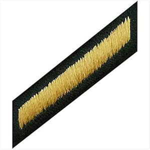 Amazon.com: Army Service Stripe Hash Mark: Male - gold embroidered on ...