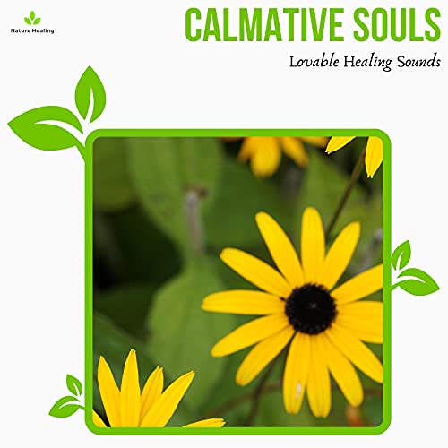 Calmative Souls - Lovable Healing Sounds de Mystical Guide, Serenity ...