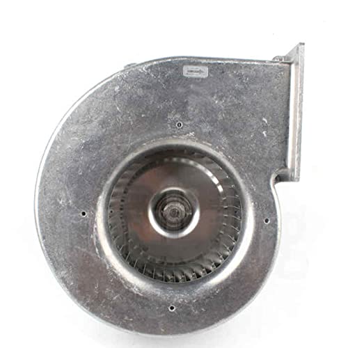 Amazon.com: G2E140-AG02-05 AC230V 0.88A 200W 2000RPM M2E068-DF 2-pin ...