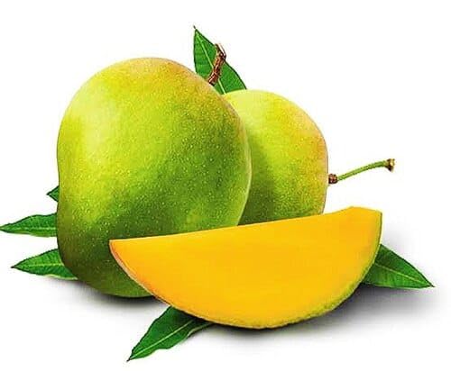 THE GREEN VIEW GARDENS Himsagar mango plant, grafted plant for himsagar ...