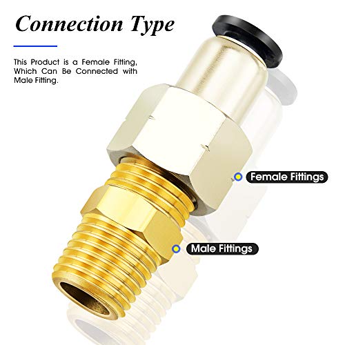 Snapklik.com : TAILONZ PNEUMATIC Female Straight 5/16 Inch Tube OD X 1/ ...