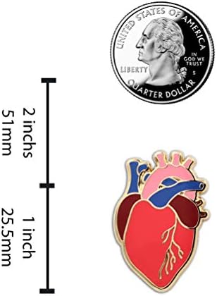 Amazon.com: REAL SIC Anatomical Heart Pin - Realistic, Scientific Heart ...