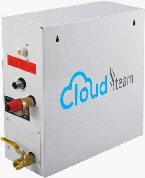Steam Sauna cloud steam and wellness (9) : Amazon.in: Beauty