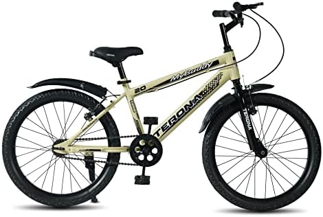 Buy The Faster My Buddy Kids Cycle 20T with Training Wheels (SEMI-Assembled) for Boys and Girls ...