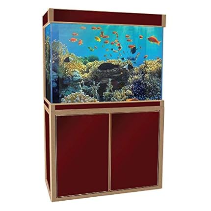 The 30 Best 100 Gallon Fish Tanks of 2024 [Verified] - Cherry Picks