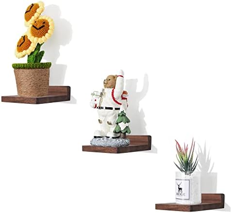 Amazon.com: Fixwal Small Floating Shelves, 5X5 Inches Wall Shelf Set of ...