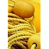 Great White Yellow Poly Pro Rope, 1/4" x 600’ Twisted, Polypropylene ...