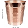 Amazon.com: nu Steel Hudson Copper Decorative Stainless Steel Small ...