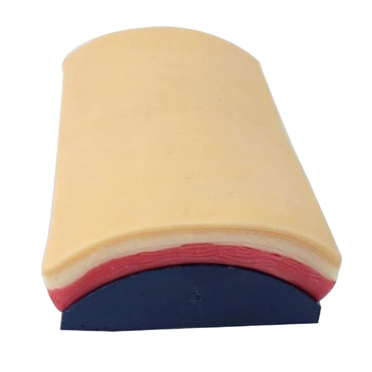 Buy Human Body Simulation Skin, The Skin Model Pad is Composed of Skin ...