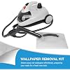 Amazon.com - Rollibot Multipurpose Steam Cleaner with 18 Accessiores ...