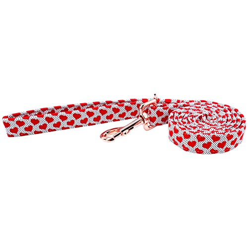 Valentine's Day Dog Leashes