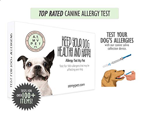 Best Dog Allergy Test – Dog Training Me