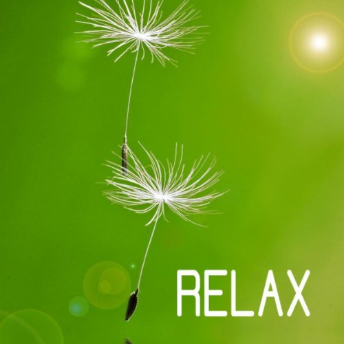 Amazon.com: Relax : Relax: Digital Music
