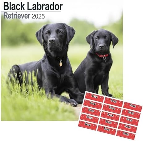 Yellow Labrador Puppies Calendar 2025 | 16 months | with FREE ...