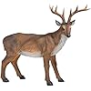 Amazon.com : Design Toscano Big Rack Deer Buck Indoor/Outdoor Garden ...