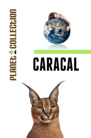 Caracal: Picture Book (Educational Children's Books Collection) - Level ...