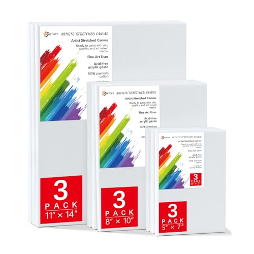 Snapklik.com : Stretched Canvas, Multi Pack 5x7, 8x10, 11x14, 9 Set ...