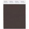 PANTONE Smart 19-0912X Color Swatch Card, Chocolate Brown - House Paint ...