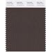 PANTONE Smart 19-0912X Color Swatch Card, Chocolate Brown - House Paint ...