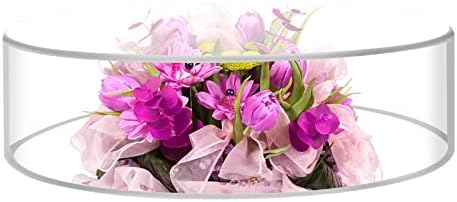 Amazon.com: Quincry Clear Cake stand with glass dome,Dessert Table ...