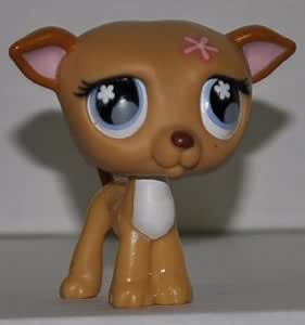Amazon.com: Greyhound #498 (Tan, Blue Eyes, Pink Flower) Littlest Pet ...