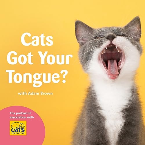 Cat Got Your Tongue