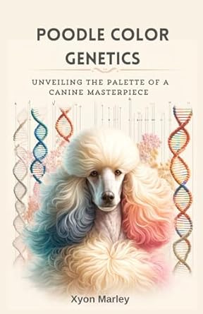 Poodle Color Genetics: Unveiling the Palette of a Canine Masterpiece ...