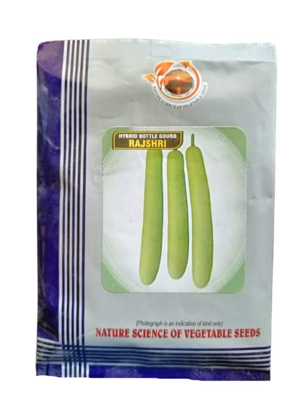 Pradeep Beej Bhandar HYBRID BOTTLE GOURD RAJSHRI SEEDS 10g PACK OF 8 ...