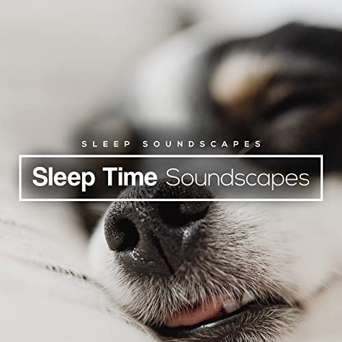 Amazon.com: Sleep Time Soundscapes : Sleep Soundscapes: Digital Music
