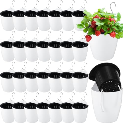 Amazon.com: Amyhill 16 Pcs 5'' and 4.33'' Self Watering Hanging Planter ...