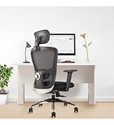 INNOWIN Jazz High Back Office Chair | Mesh Ergonomic Chair with Multi ...