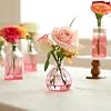 Amazon.com: Pink Vase, Glass Bud Vases Set of 12, Small Pink Glass ...