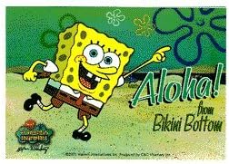 Amazon.com: Spongebob Squarepants TV Show Sticker - Spongebob/Aloha ...