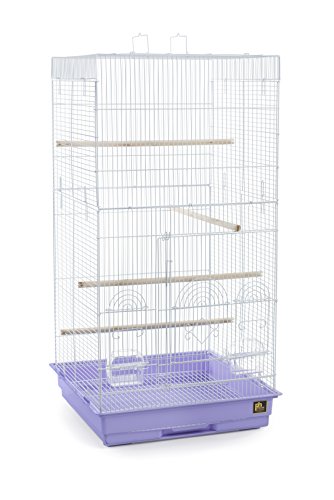 10 best Tall Bird Cages for spacious and happy birds! - Furry Folly