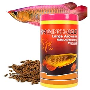 Premier Plants Inch Gold Arowana Feed Fish Food Rium Fish Tank & Pond Fountain (454 Gram ...
