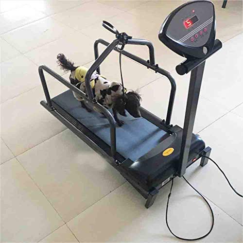 Amazon Best Sellers: Best Dog Treadmills
