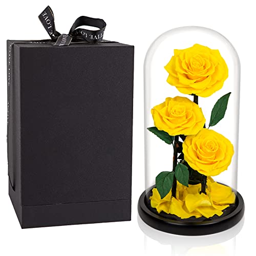 Perfectione Roses Handmade Preserved Rose in Glass Dome, Red Real Roses ...