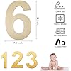 Amazon.com: HILAZA 12 Inch Large Wooden Number 6, 1/4 Inch Thick ...
