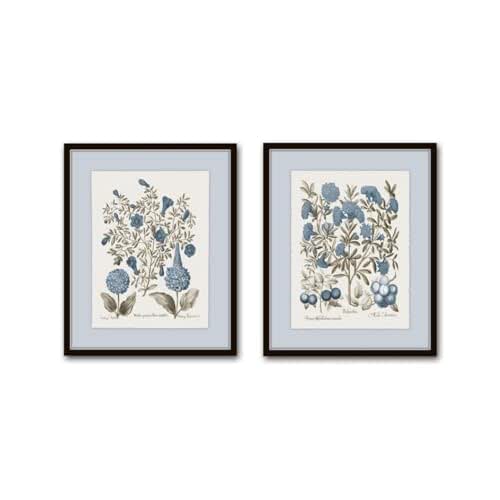 Amazon.com: Sepia & Blue Botanical Prints No 4, Wall Decor, Wall Art ...