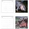 Bduttlefish Moo Deng Calendar 2025,Funny Hippo Wall Calendar,Moo Deng ...