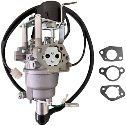 Amazon.com: Rui xing Dual Fuel Generator Carburetor for DuroMax ...