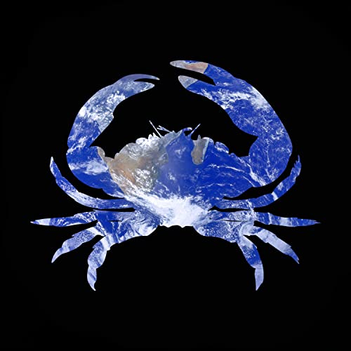 Amazon.com: Earth Anthem : Tea R. Sea: Digital Music