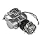 Amazon.com: DNYSYSJ 49cc 2 Stroke 1.3HP Mini Pull Start Engine For Mini Motorcycle Pocket ...