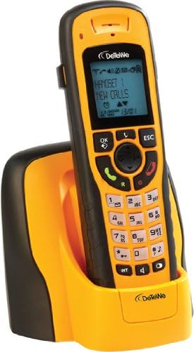 DeTeWe BeeTel 2000 Schnurloses und nach IPX7 geprüftes DECT-Telefon für ...