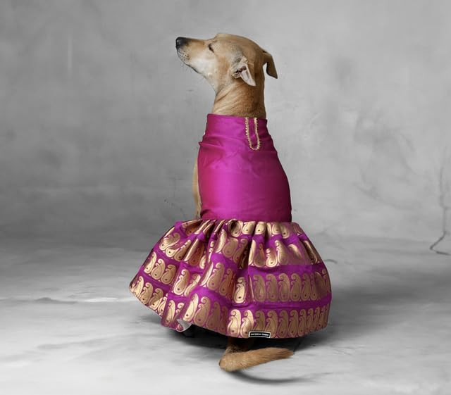 That Dog In Tuxedo Dog Wedding/Festive - Diwali Dog Dress/Frock/Costume ...