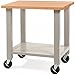 Amazon.com: Seville Classics UltraHD Heavy-Duty Rolling Workstation ...