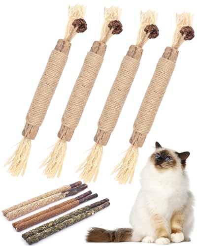 10 Best Cat Nip Sticks to Spoil Your Feline Friend - A Complete Buying ...