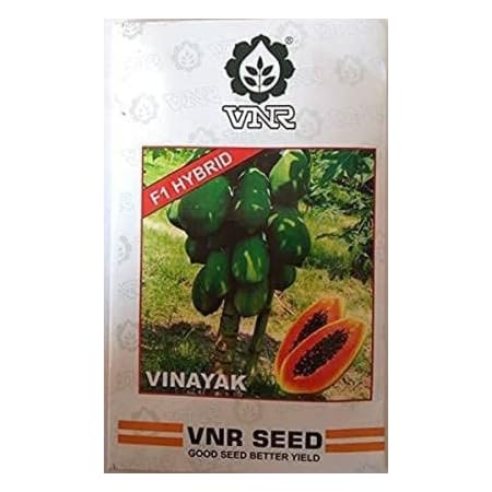 Papaya Red Lady (786) F1 Hybrid Known- You Seed Known You Seed (India), Taiwan Papaya, Red Lady ...