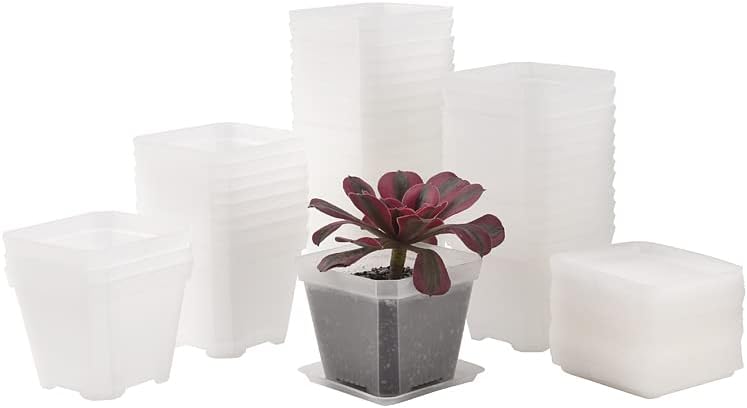 Amazon.com: BangQiao 40 Pack 3.90 Inch Clear Plastic Square Seedling ...