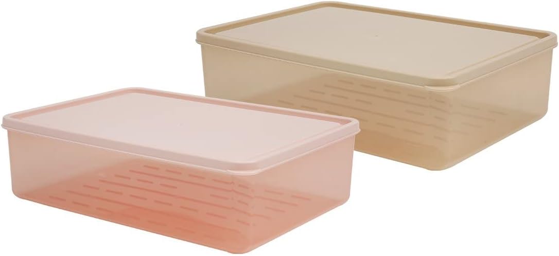 Amazon.com: Dr.HOWS YU COLD & FREEZER CONTAINER Stackable Portable ...